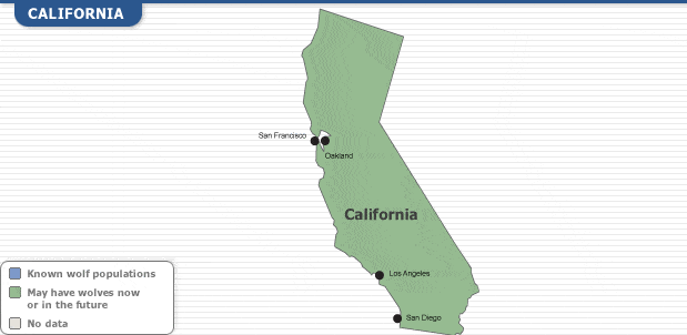 International Wolf Center » Blog Archive » California