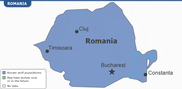 International Wolf Center » Blog Archive » Romania